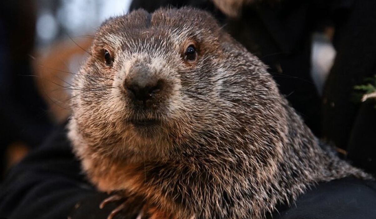 News - Spook Rock Golf